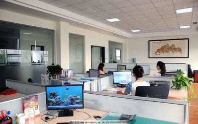 China shanghai kerang technology co ltd